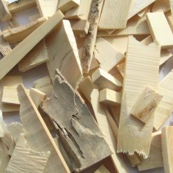 Mammoth ivory scraps - Atelier Delaruelle